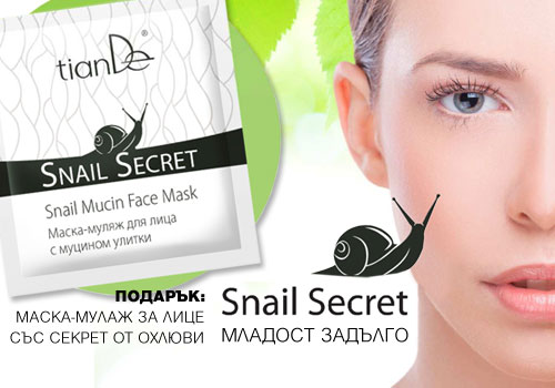 Snail Secret - TianDe